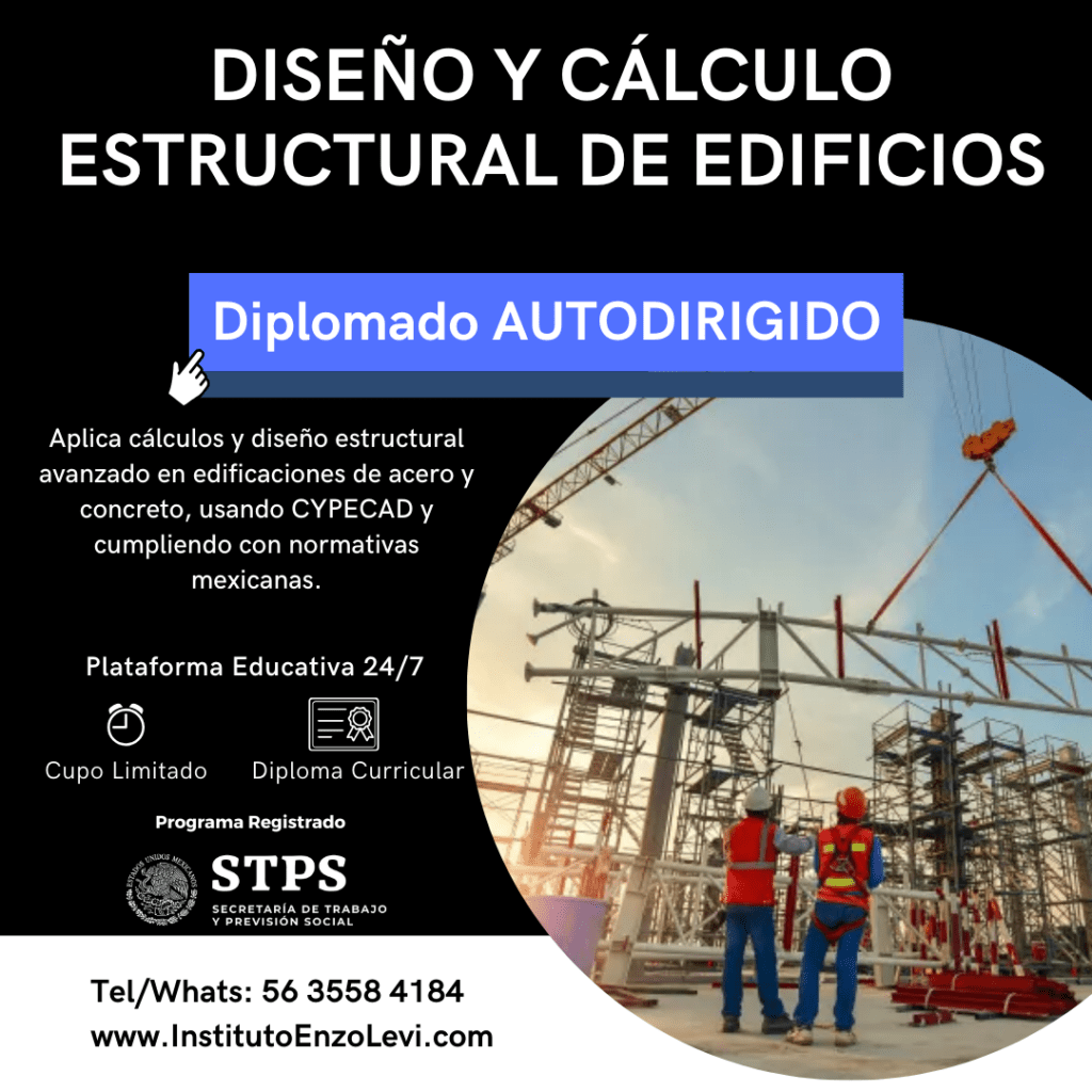 Diplomados y Cursos - Instituto Enzo Levi